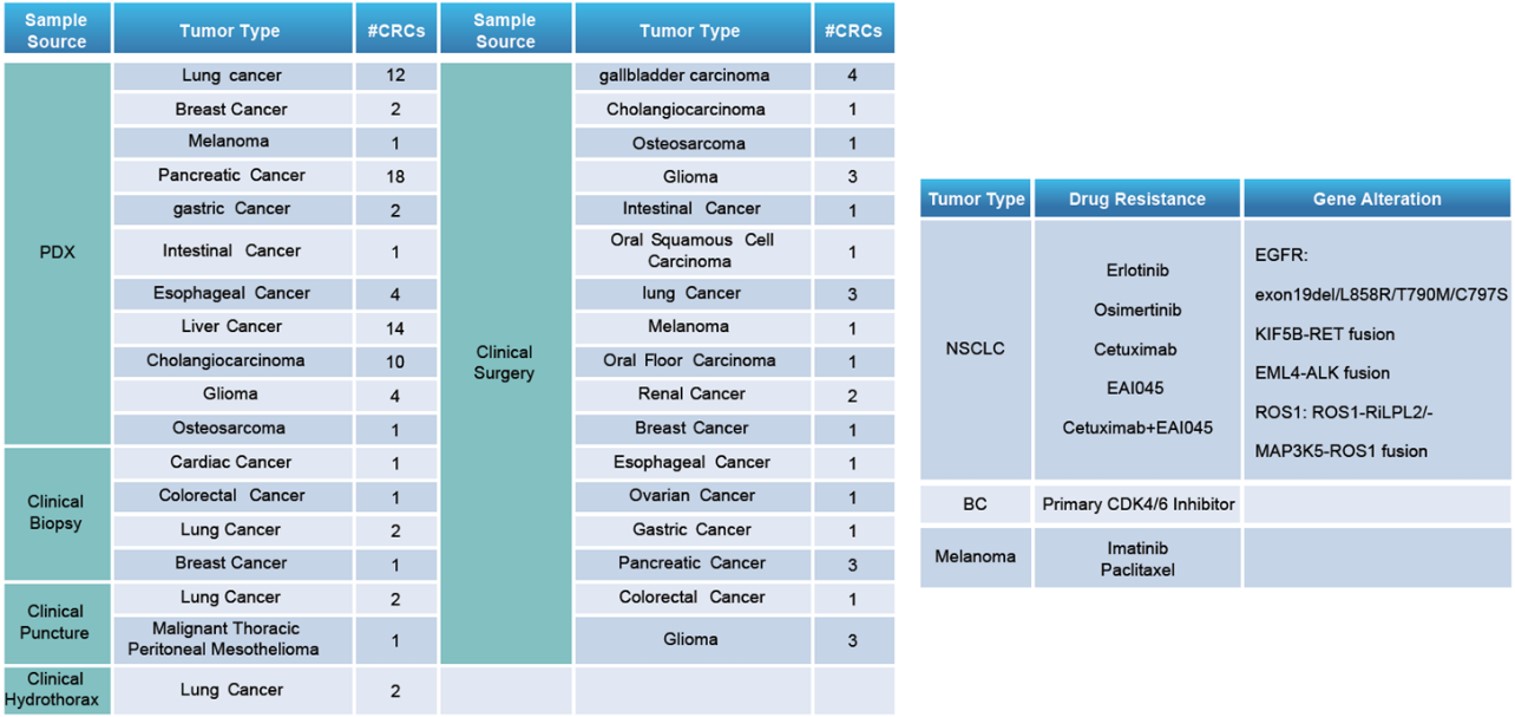 Conditionally Reprogrammed (CR) Cells: The Future of Cancer Drug ...